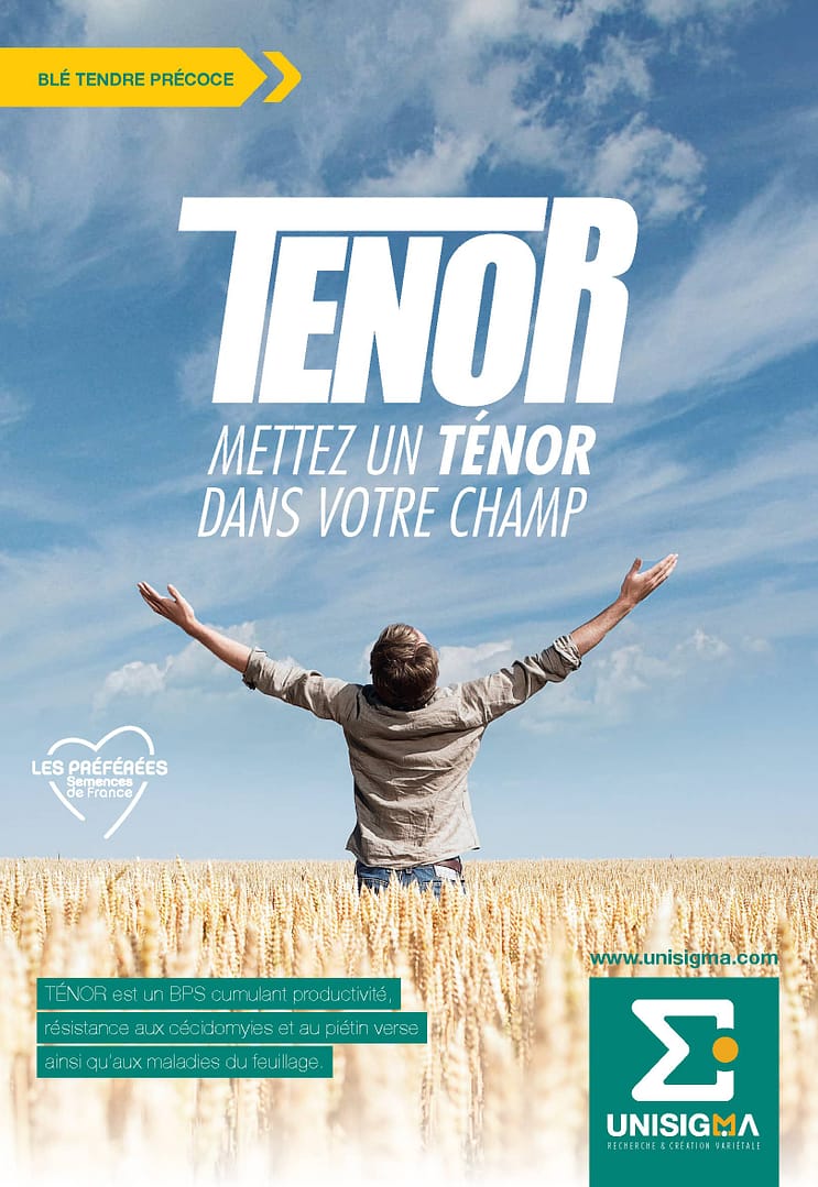 Blé tendre d’hiver – Unisigma